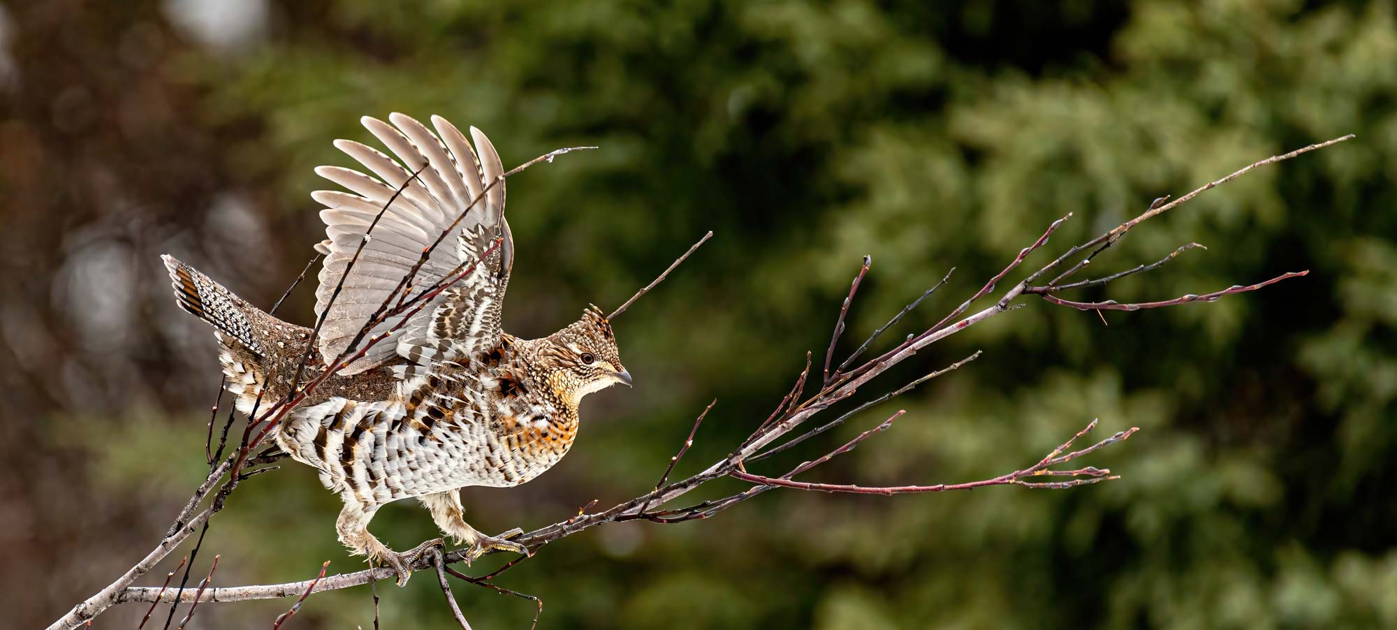 Apparel – RGS | AWS Upland Store